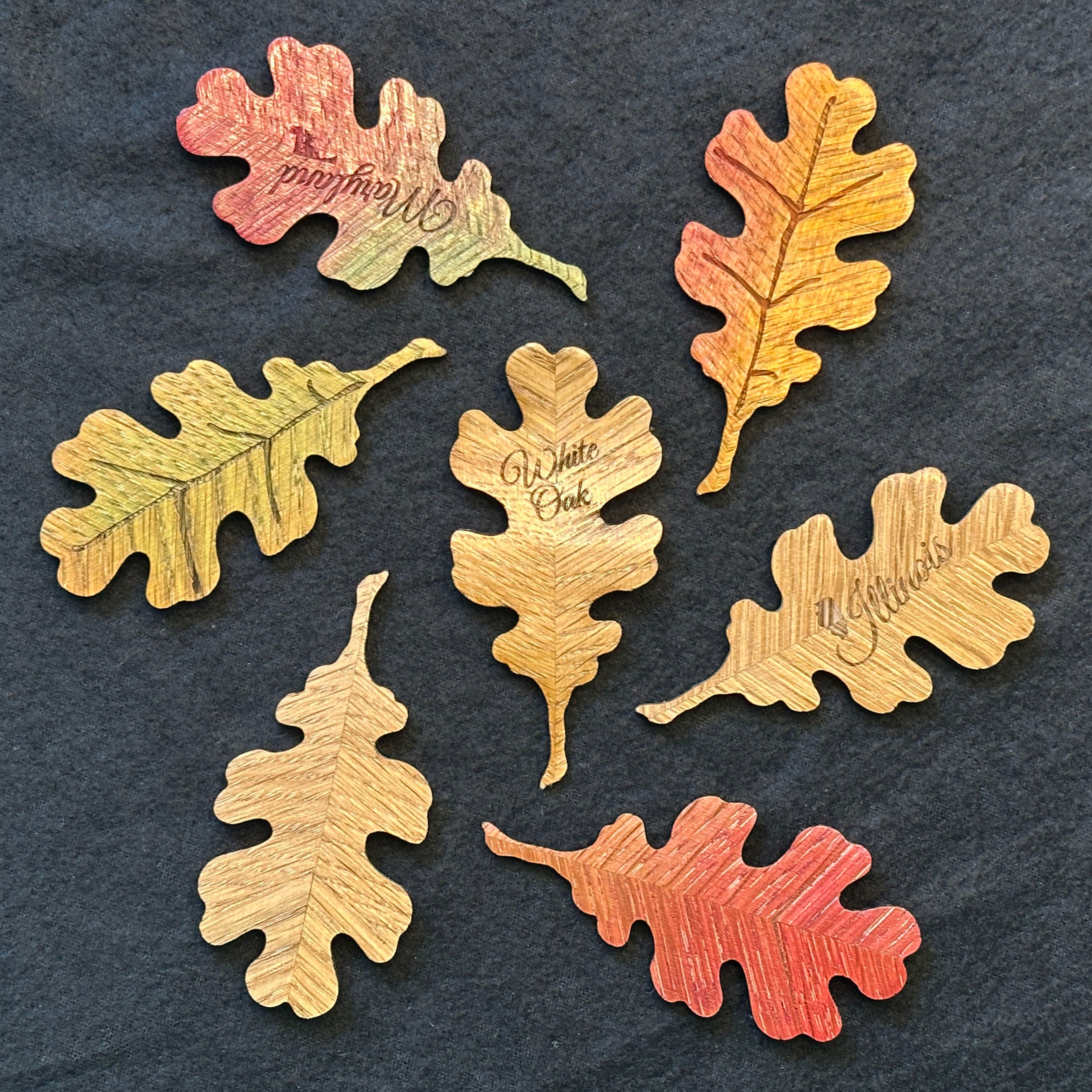 White Oak Leaf Magnet – OverZealous Creations